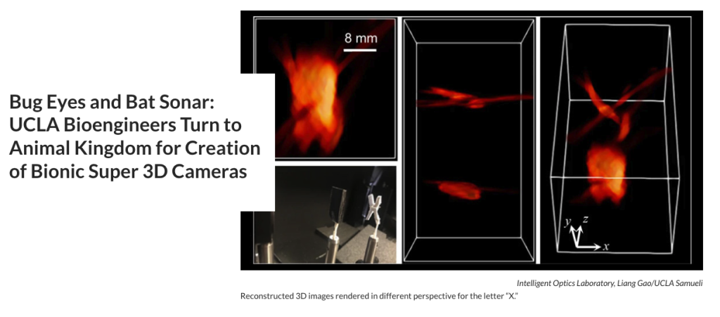 （LiDAR関連）米・カリフォルニア大学ロサンゼルス校／Bug Eyes and Bat Sonar: UCLA Bioengineers ...